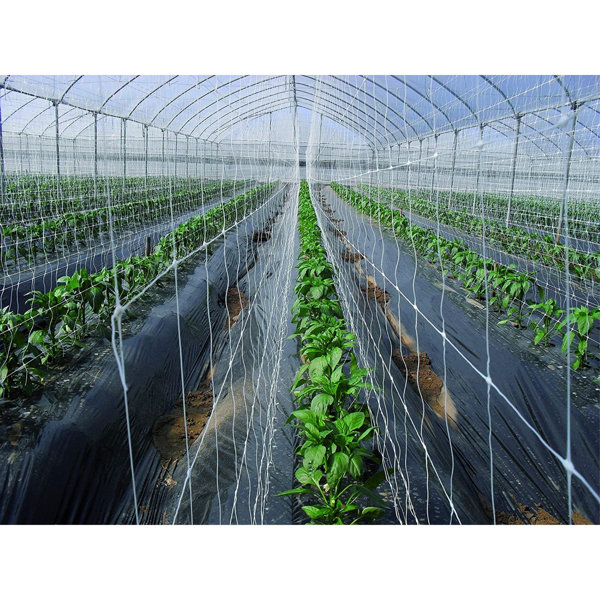 Tenax 6 H X 10 5 W Plastic Folding Trellis Wayfair